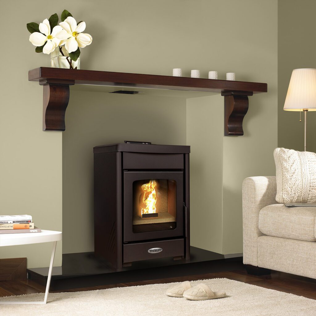 The 7 Types of Stoves Explained - Fireplace Services