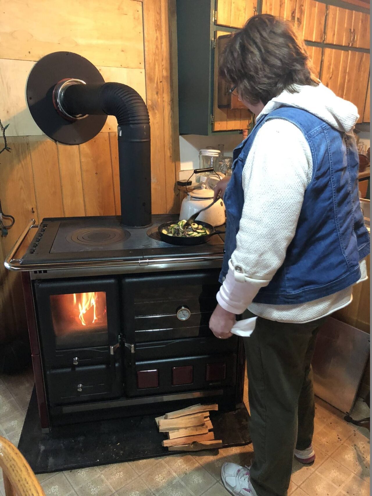 The 7 Types of Stoves Explained - Fireplace Services